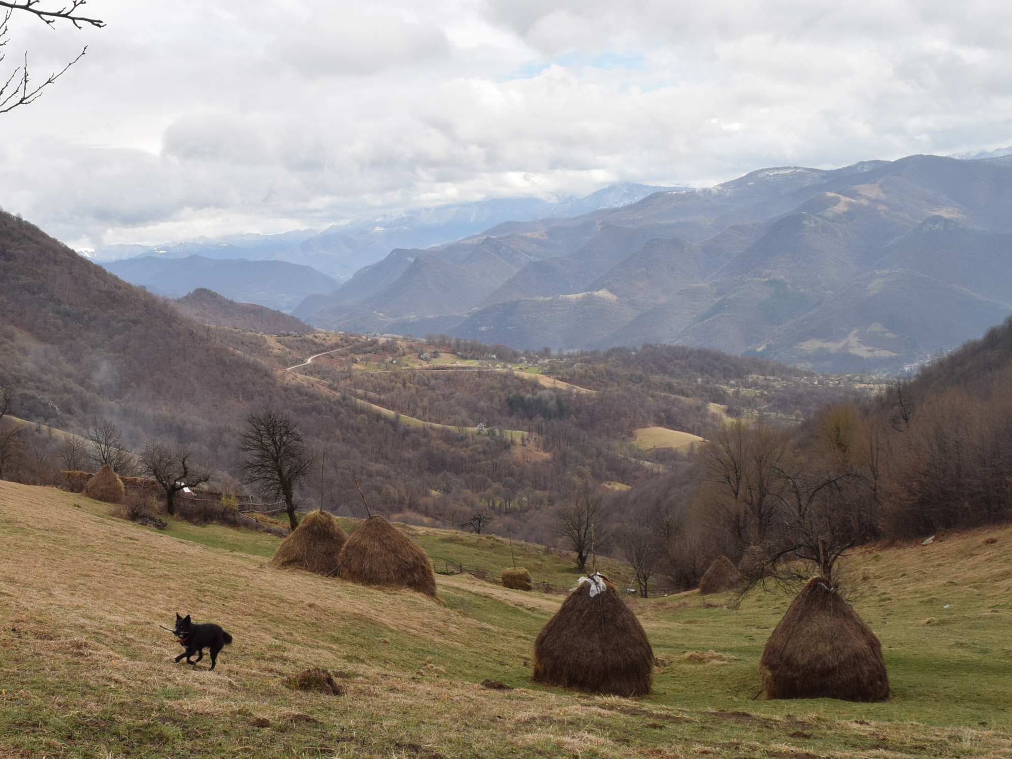 Изследване на икономиката и населението в планинските райони на ...